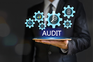 Dynamic Audit Solution (DAS) enhances guidance for auditors - IAB ...